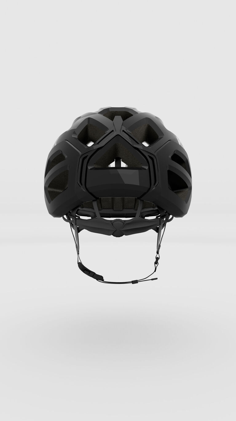 Rex | Kask