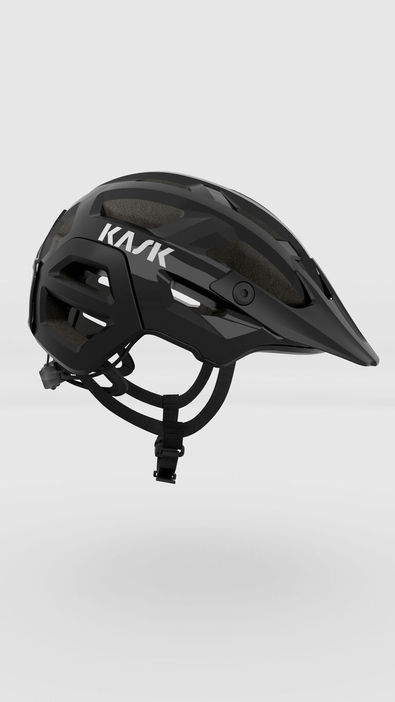 Rex | Kask
