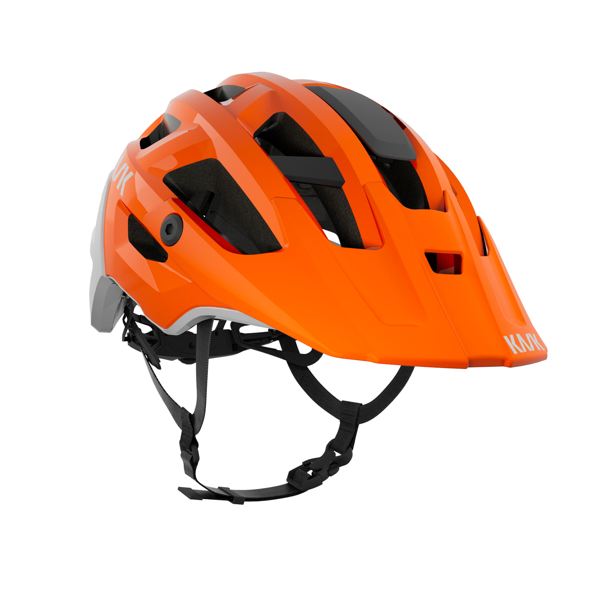 Rex | KasK